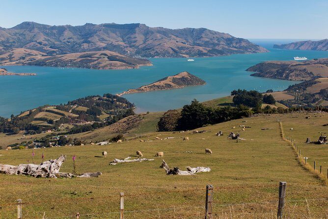 Private Day Scenic Excursion to Akaroa/Christchurch ex Lyttelton - FAQs