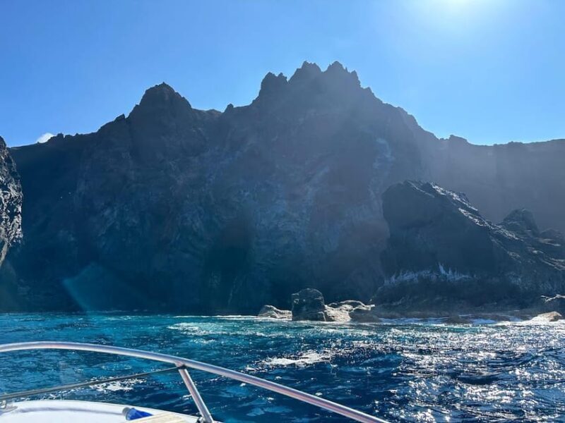 Private Day Seafari in the Azores follow Marine Biologist - Who Will Love This Experience?