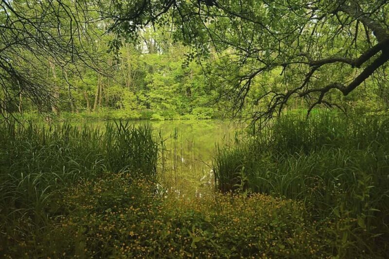 Private Day Tour: Aladzha, Varna, Pobiti Kamani, Kamchia - Who Will Love This Tour?