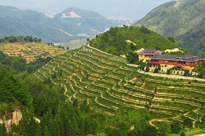 Private Day Tour: Anxi Tea Garden And Hongen Rock From Xiamen - Who Will Enjoy This Tour Most