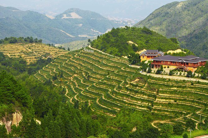 Private Day Tour: Anxi Tea Garden And Hongen Rock From Xiamen - The Return to Xiamen