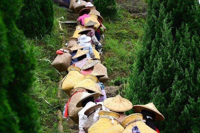 Private Day Tour: Anxi Tea Garden And Hongen Rock From Xiamen - Final Thoughts: Is This Tour Right for You?