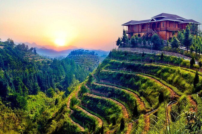 Private Day Tour: Anxi Tea Garden And Hongen Rock From Xiamen - FAQs