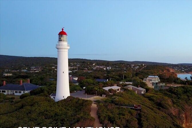 Private Day Tour at The Great Ocean Road - Key Points