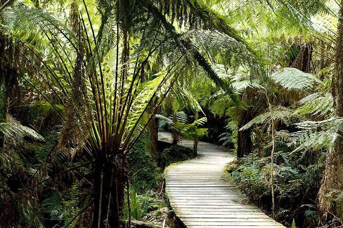 Private Day Tour at The Great Ocean Road - FAQ