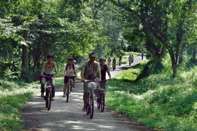Private Day Tour: Cuc Phuong National Park from Hanoi - Who Should Consider This Tour?