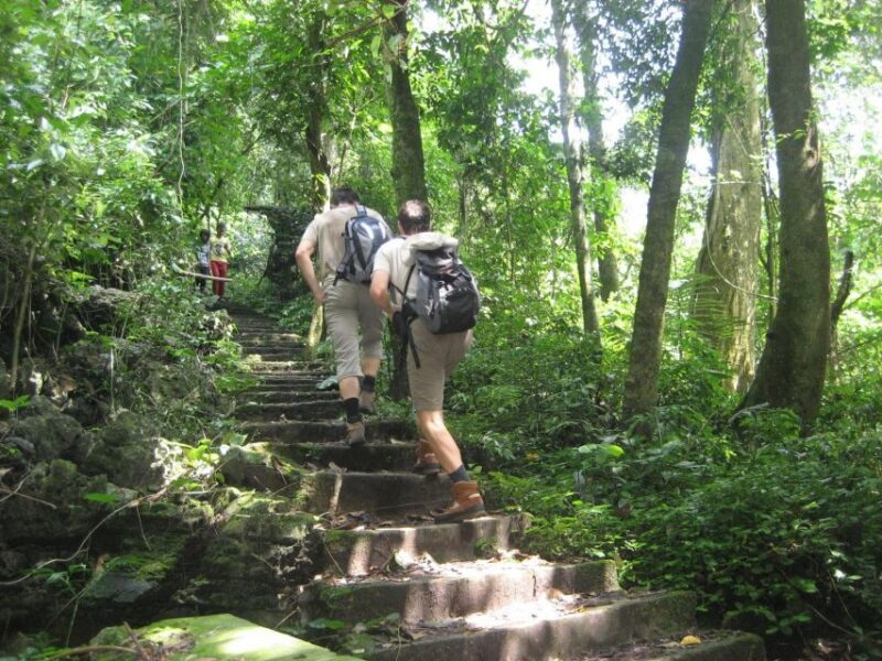 Private Day Tour: Cuc Phuong National Park from Hanoi - The Sum Up