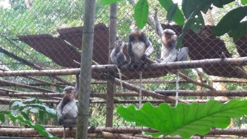 Private Day Tour: Cuc Phuong National Park from Hanoi - FAQs