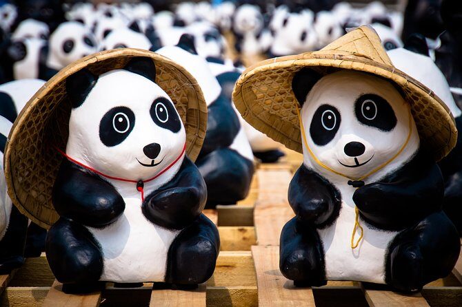 Private Day Tour: Dujiangyan Panda Base and Irrigation Project - What to Consider