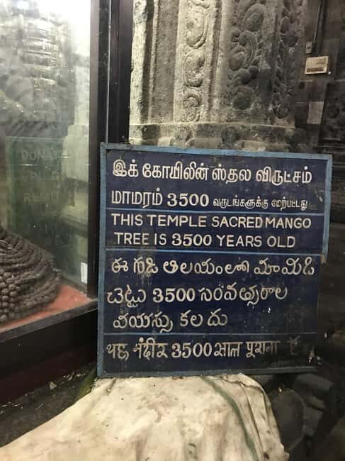 Private Day Tour: Explore Silk city Kanchipuram from Chennai - Final Thoughts: Who Should Book This Tour?