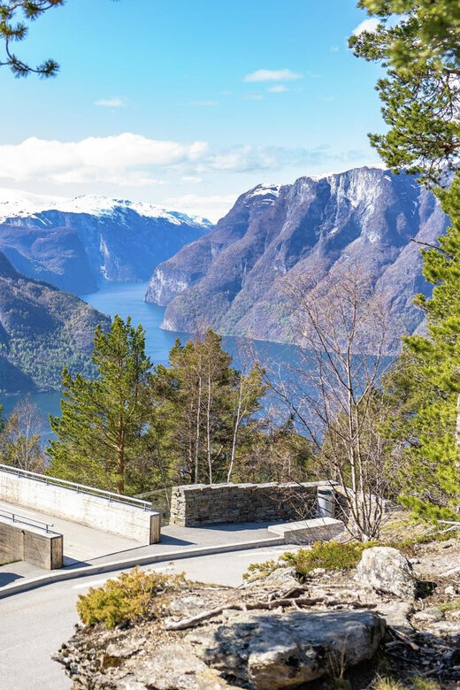 Private Day Tour- Flam Railway & Fjord Cruise From Bergen - Who Is This Tour Best For?