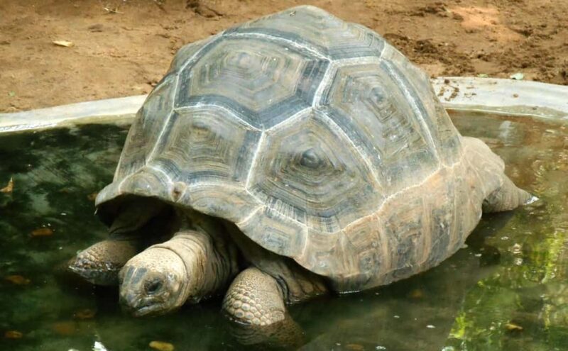 Private Day Tour: From Chennai to Mahabalipuram and beyond - The Sum Up