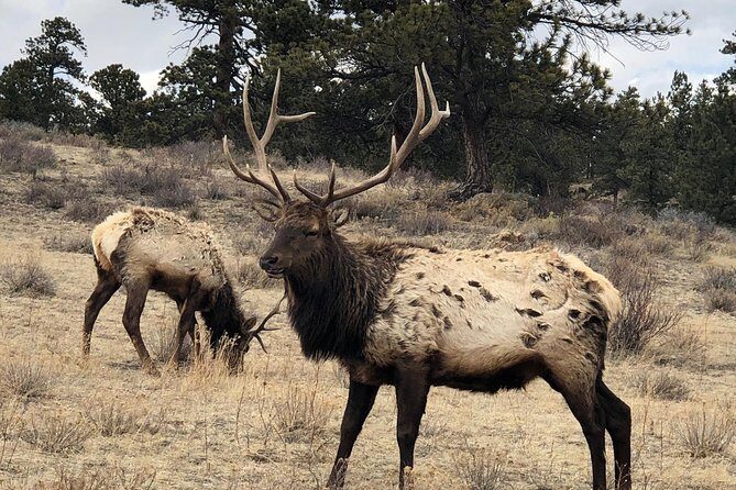 Private Day Tour From Denver to Estes Park and Rocky Mountain National Park - Final Thoughts