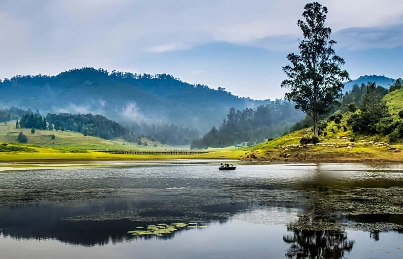 Private Day Tour : From Madurai to Enchanting Kodaikanal - Key Points