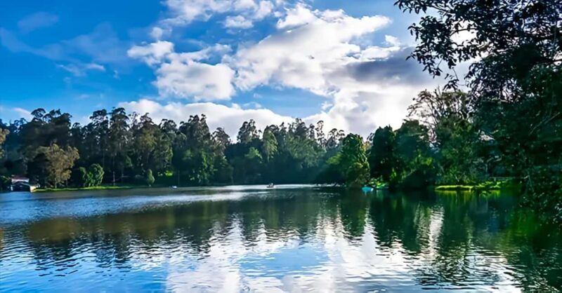 Private Day Tour : From Madurai to Enchanting Kodaikanal - The Journey Begins: From Madurai to Kodaikanal