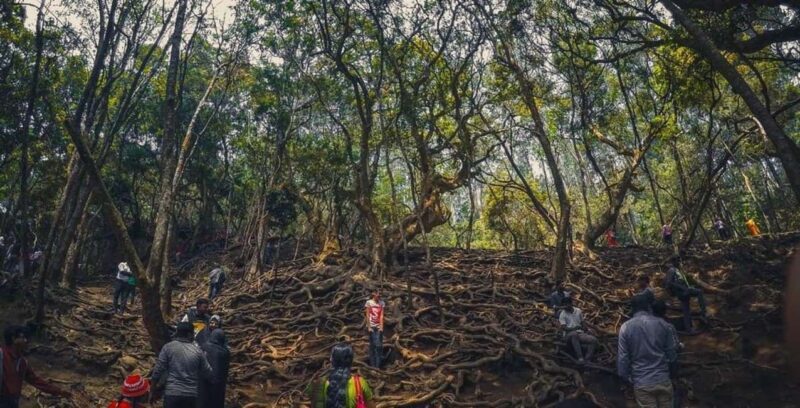 Private Day Tour : From Madurai to Enchanting Kodaikanal - Afternoon Highlights: Majestic Rocks and Waterfalls