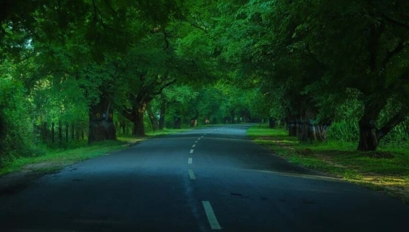 Private Day Tour : From Madurai to Enchanting Kodaikanal - Authentic Experiences to Expect