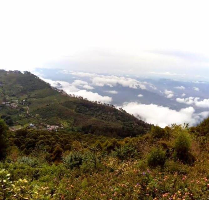 Private Day Tour : From Madurai to Enchanting Kodaikanal - Final Thoughts: Who Will Love This Tour?