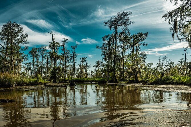 Private Day Tour from New Orleans to the Bayou and Swamps - Key Points