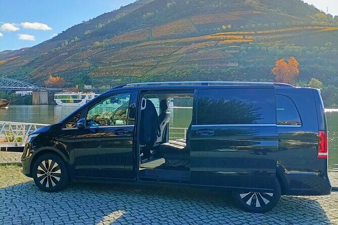Private day tour from Porto to Douro Valley - Real Traveler Feedback