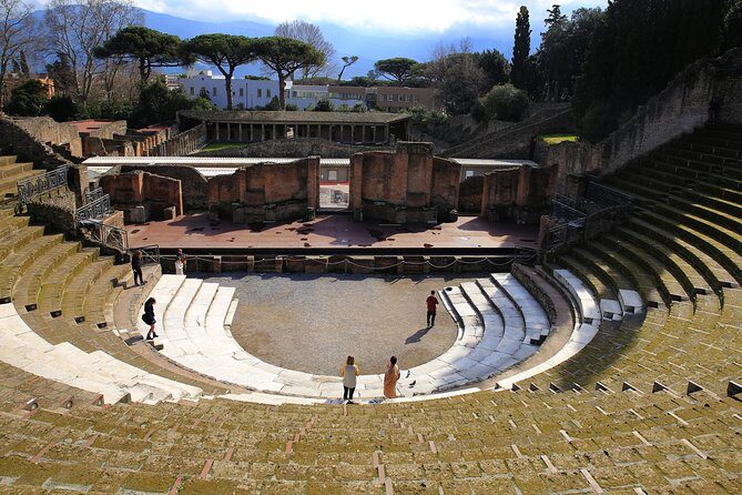 Private Day Tour from Rome to Pompeii and Herculaneum with Hotel Pick up - Price and Value