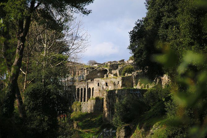 Private Day Tour from Rome to Pompeii and Herculaneum with Hotel Pick up - Who Should Consider This Tour?