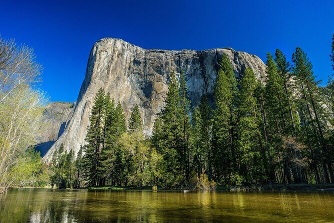 Private Day Tour from San Jose in Yosemite Natural Park - A Full Breakdown of the Yosemite Private Day Tour