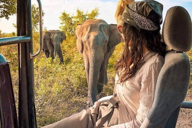 Private Day Tour : Handungoda and Galle from Colombo - Who Should Consider This Tour?