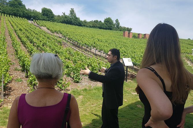 Private day tour in Champagne - Who Is This Tour Best For?