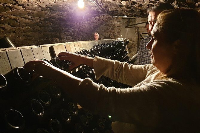 Private day tour in Champagne - FAQ