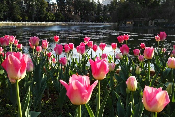 Private Day Tour in Kunming: Flower and Birds Market, Dianchi, Green Lake etc. - Exploring Kunming in a Day: An Honest Look at the Private Tour