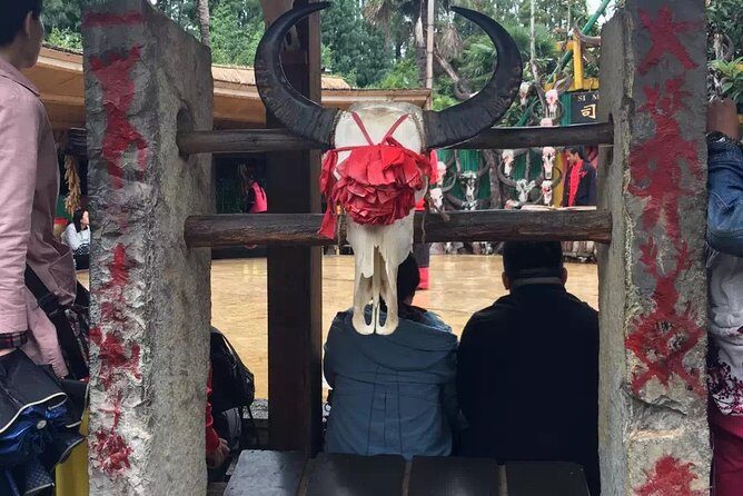 Private Day Tour in Kunming: Flower and Birds Market, Dianchi, Green Lake etc. - Who Should Consider This Tour?
