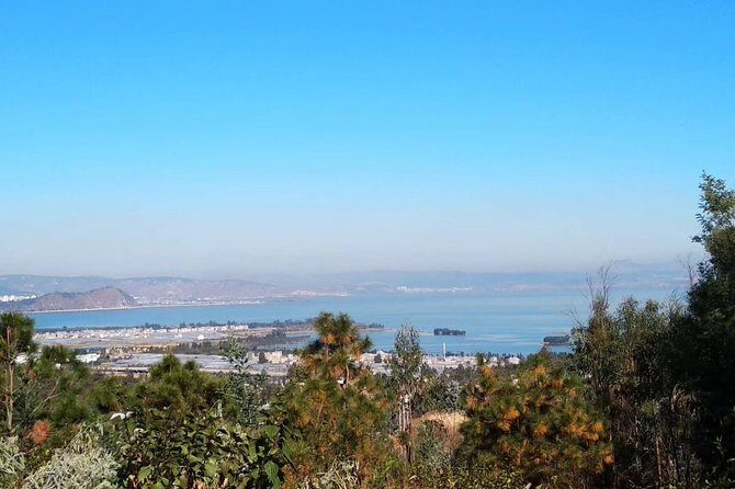 Private Day Tour in Kunming: Flower and Birds Market, Dianchi, Green Lake etc. - FAQ about the Kunming Private Day Tour