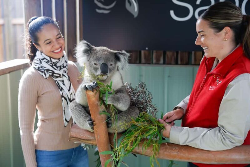 Private Day Tour in Melbourne - The Sum Up