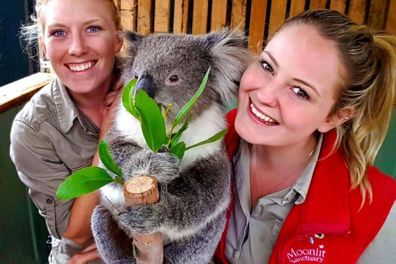 Private Day Tour in Melbourne - FAQ