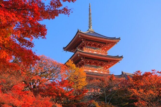 Private Day Tour in Osaka and Kyoto with charter car - Key Points