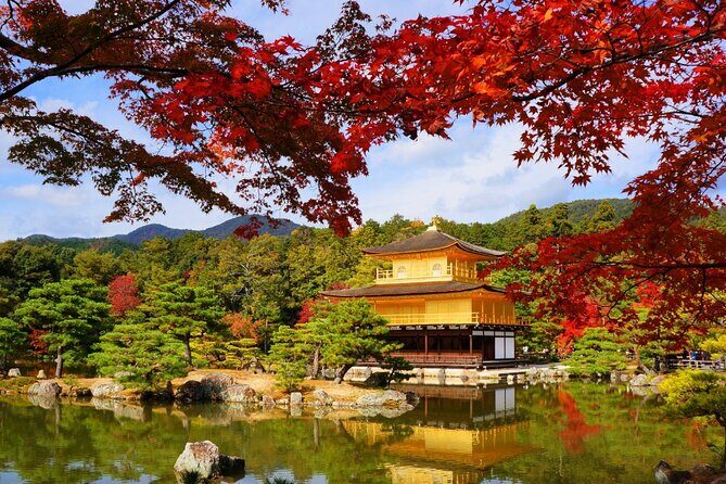 Private Day Tour in Osaka and Kyoto with charter car - Who Is This Tour Best For?