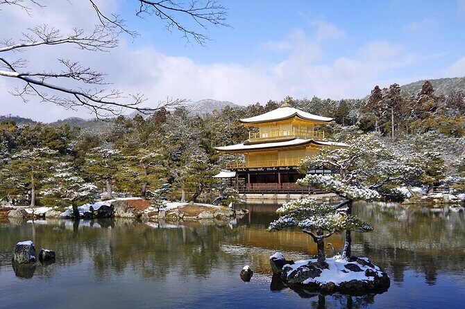 Private Day Tour in Osaka and Kyoto with charter car - Summary