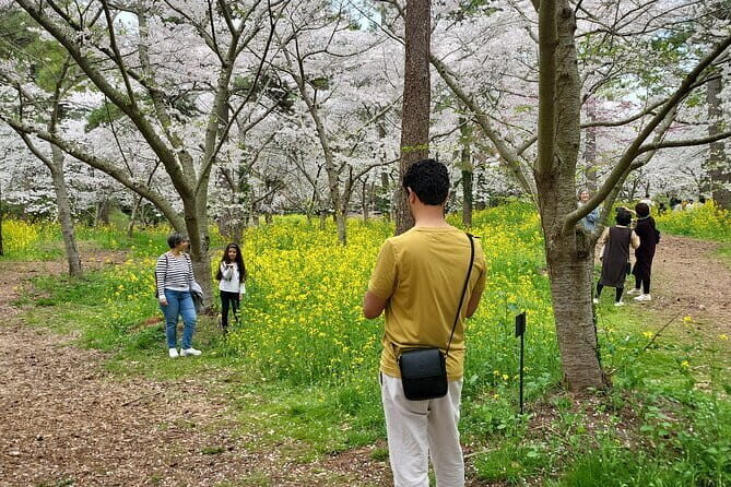 Private Day Tour in South in Jeju Island - The Sum Up