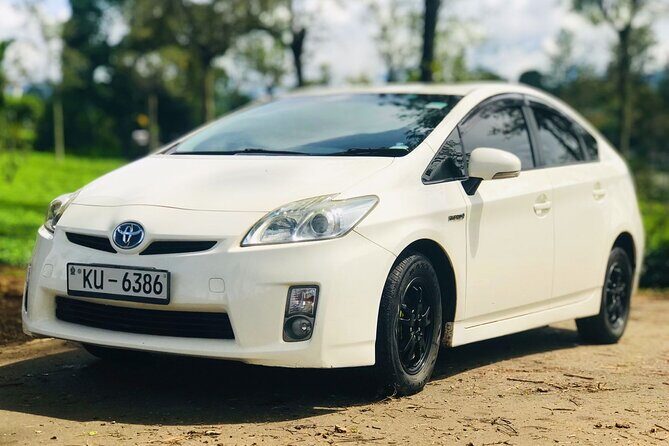 Private Day Tour in Southern Province Sri Lanka with Transfer - Who Is This Tour Best For?