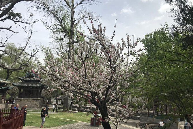 Private Day Tour in Taiyuan: Jinci, Mengshan Buddha, Tianlong Mount - Authenticity and Cultural Insight