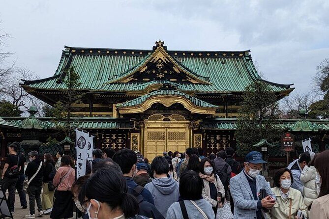 Private Day Tour In Tokyo with a Native English Speaker - What Makes This Tour Stand Out?