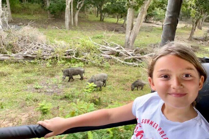 Private Day Tour in Yala National Park with Lunch - Introducing the Private Day Tour in Yala National Park with Lunch