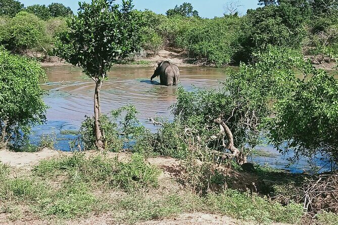 Private Day Tour in Yala National Park with Lunch - Price Analysis: Is It Worth It?