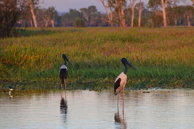 Private Day Tour Kakadu - Who Will Love This Tour?