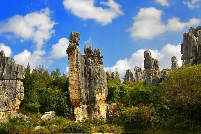 Private Day Tour: Kunming Highlight of Stone Forest - Key Points