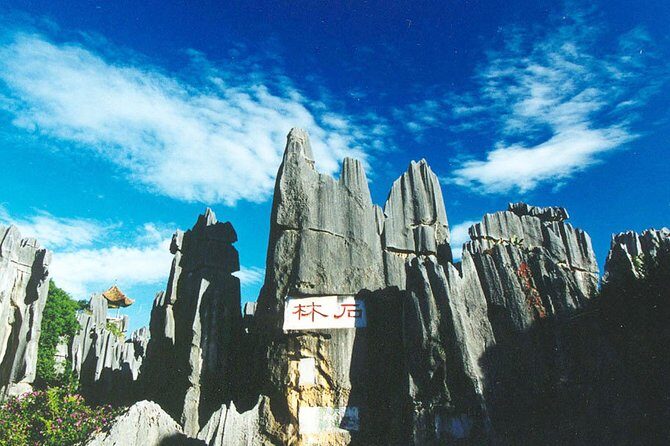 Private Day Tour: Kunming Highlight of Stone Forest - An Introduction to the Experience