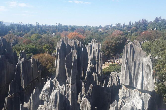 Private Day Tour: Kunming Highlight of Stone Forest - Who This Tour Is Best For