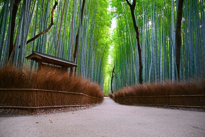 Private Day Tour - Kyoto Arashiyama & Bamboo Forest Perfect Tour! - Introduction: A Scenic Day in Kyotos Arashiyama