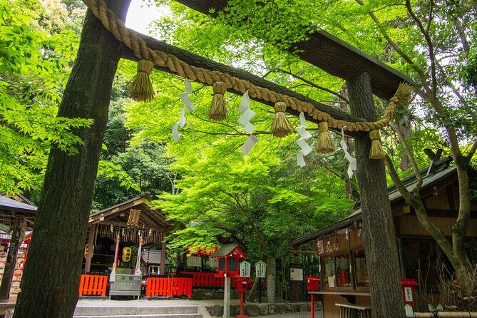 Private Day Tour - Kyoto Arashiyama & Bamboo Forest Perfect Tour! - Who Should Consider This Tour?